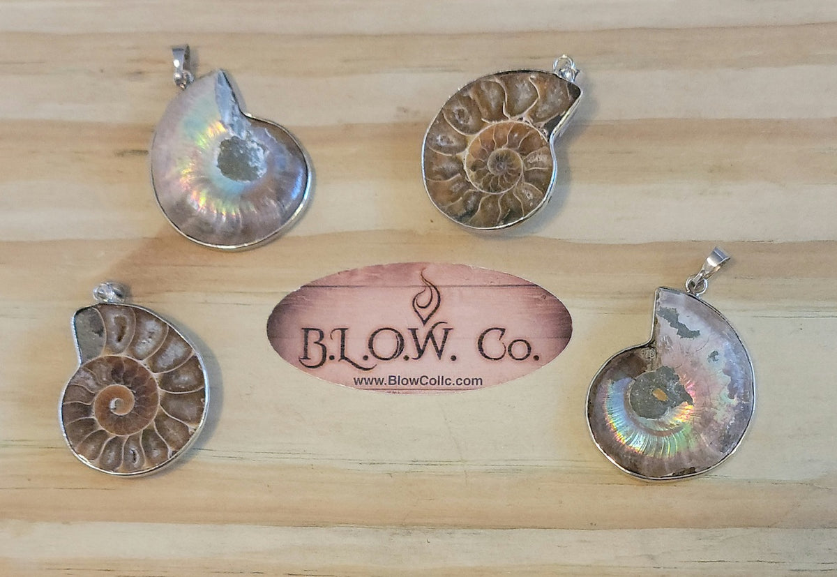Ammonite Pendant – B.L.O.W. Co. Candles